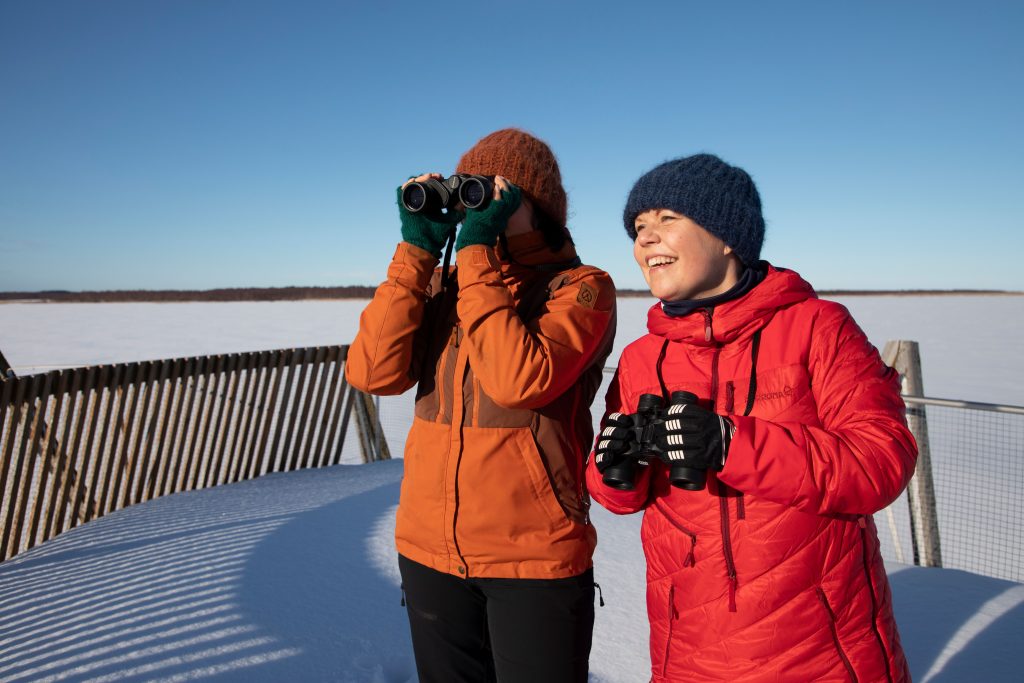 Liminka Bay Visitor Center – Visit Liminka